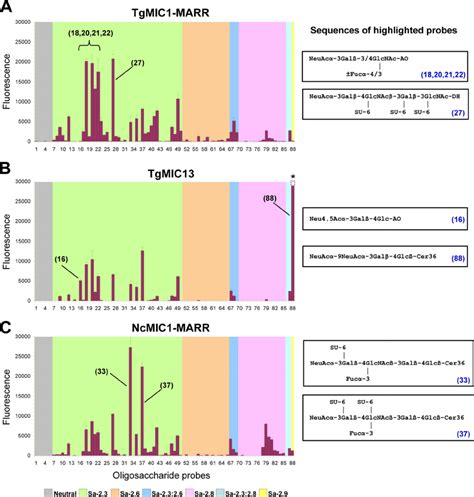 Carbohydrate Microarray Analyses Of Recombinant Tgmic1 Marr Expressed