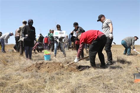 ЭМДЕГ ЫН УДИРДЛАГУУД “БАЙГАЛИА ХАЙРЛАЯ” МОД ТАРИХ ӨДӨРЛӨГТ НЭГДЛЭЭ Nogoonerel Mn