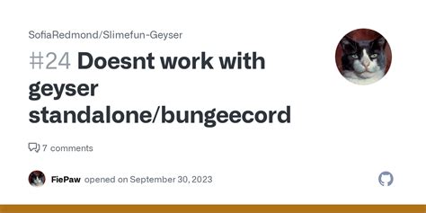 Doesnt Work With Geyser Standalone Bungeecord Issue SofiaRedmond Slimefun Geyser GitHub