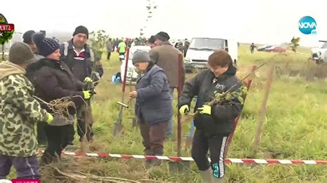 ДЪРВЕТА ЗА СМЕТ Русенци засаждат 3000 фиданки на старо сметище Nova