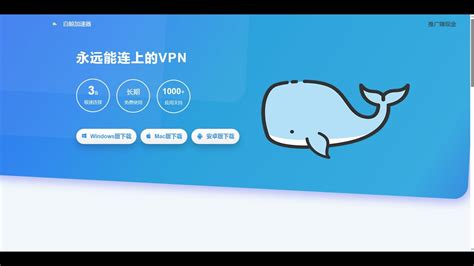 白鲸加速器 科学上网 永久免费vpn 无限流量 支持windows，mac，安卓手机 操作简单 长期稳定 Youtube