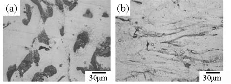 Optical Micrographs Of As Pressed Az31 Mg Alloy Observed For Surface