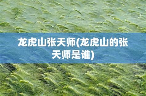 龙虎山张天师 龙虎山的张天师是谁 黑龙江旅游网
