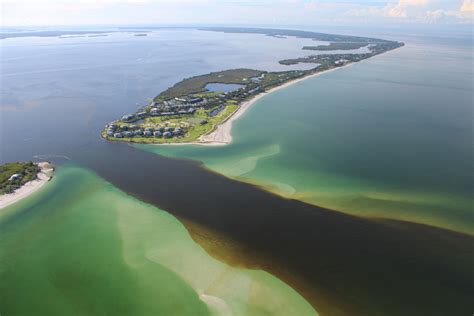 Florida Estuary Water Too Fresh For Seagrass After Historic Rains Environmental Monitor