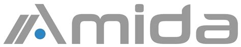 Amida Technology Solutions Recognized By Orangeslices As Elev8 Govcon