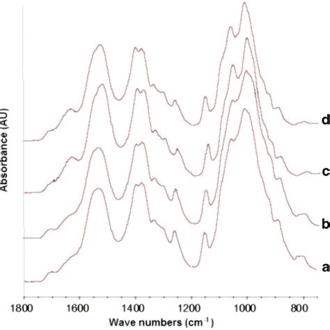 The Ftir Spectra Of Chitosan Films A 874 De Acetylated B 947