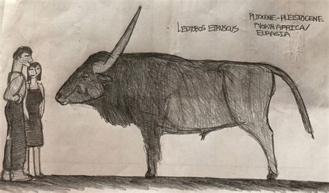 Leptobos Etruscus By Makairodonx On Deviantart