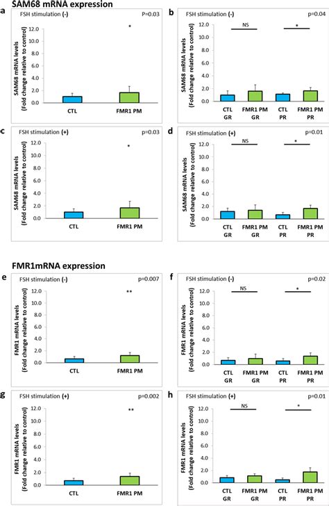 Higher Sam68 And Fmr1 Mrna Expression Levels In Mgcs Of Fmr1