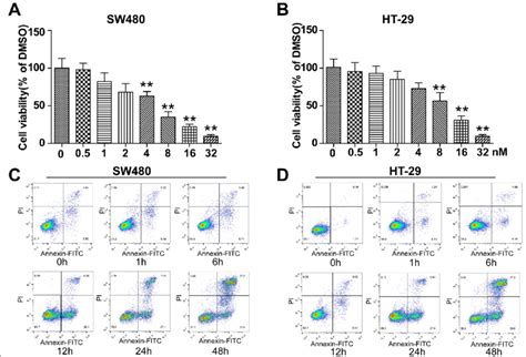 Bullatacin Induces Apoptosis In Colon Cancer Cells A Cck 8 Assay Of