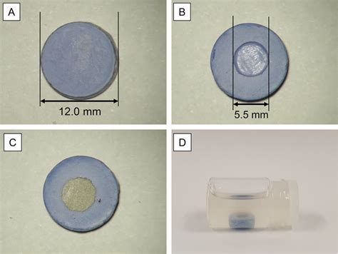Preparation Of Samples A Unprepared Sintered Hydroxyapatite Sample Download Scientific