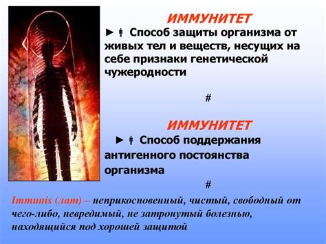 Основы иммунологии - презентация онлайн