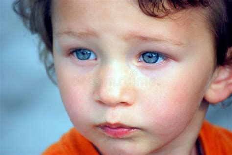 Muchacho Lindo Foto De Archivo Imagen De Contemplar 13932626