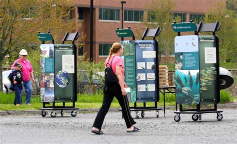 Free Picture Person Passing Interactive Displays Promenade