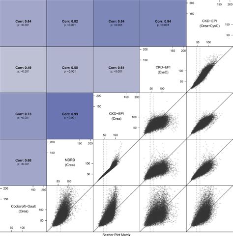Correlation Between Estimated Glomerular Filtration Rate EGFR