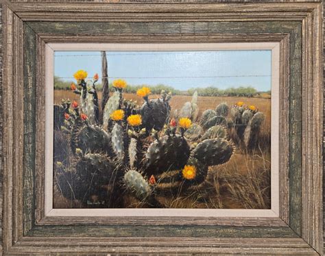 Helen Hunter Prickly Pear Prickly Wire Cactus 14256 Texas