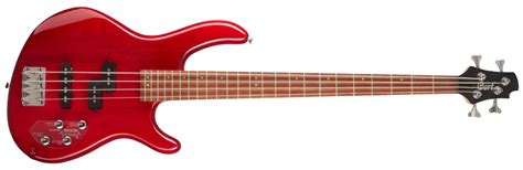 Electric Upright Bass Vs Upright Acoustic Bass