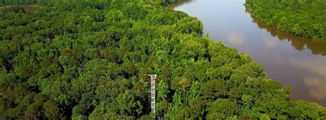 about us nsf neon open data to understand our ecosystems