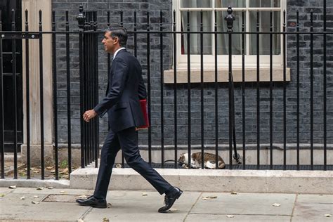 Uks Top Cat Chief Mouser Larry Has Been Outlasting Prime Ministers