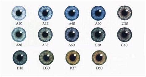 A10 Master Race Jk Cries In T50 Funny Best Funny Pictures Eye