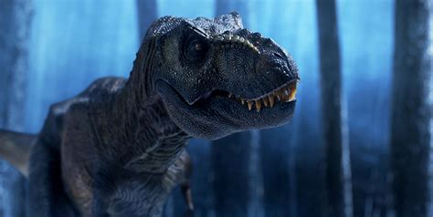 The Case For Non Predictive Decision Making Mawer Investment