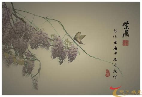 天下摄影网 天下第一摄影资讯门户 摄影爱好者作品与技巧交流平台