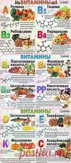 ВИТАМИНЫ И МИНЕРАЛЫ | Health food, Health habits, Health and wellbeing