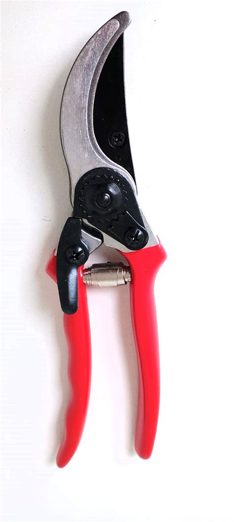 Tesoura Para Poda Jardinagem Tipo SuiÇa Corneta 8 Distribuidora