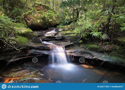 A Waterfall With Trees On The Side Of A River In Australia Stock Image Image Of Land Rock