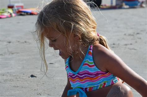 Violet On The Beach Joe Shlabotnik Flickr