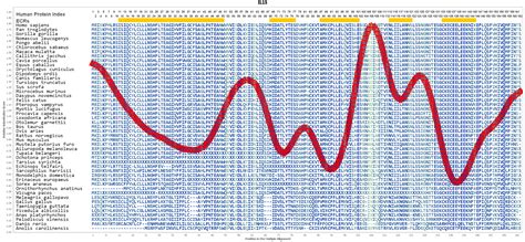 Il15 Gene Genecards Il15 Protein Il15 Antibody