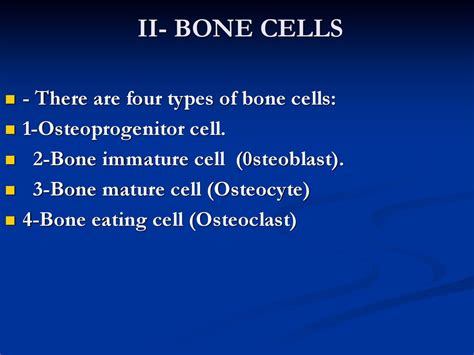 Bone Bone The Most Amazing Story Of Bone Histology Ppt Download
