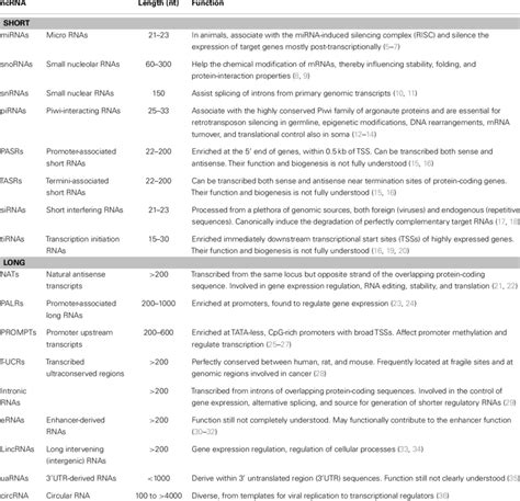 Major Classes Of Short And Long Regulatory Non Coding Rnas Download Table