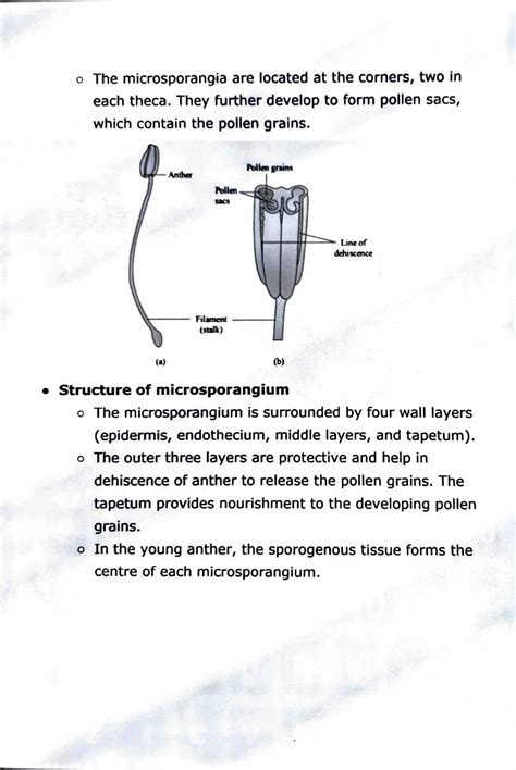 Solution Chapter 2 Sexual Reproduction In Flowering Plants Cbse Class