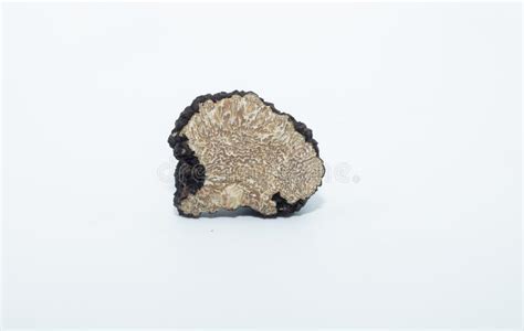 Close Up Photography The Inside Of Black Truffle Stock Image Image Of
