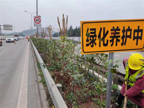 市设施中心三举措加强春季道路绿化管护01 png