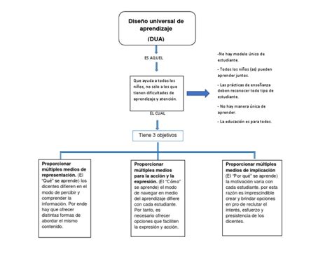 Esquema Mapa Conceptual Principios Dua Esquemas Y Mapas Conceptuales