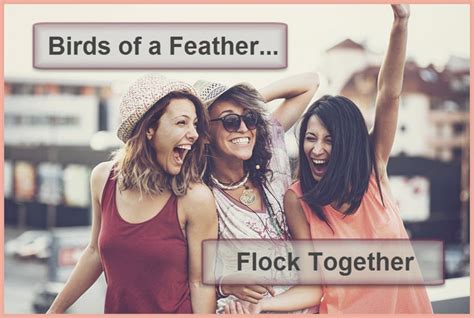 Birds Of A Feather Flock Together