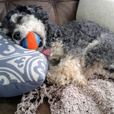 Sophie Loves Her Binky Aww