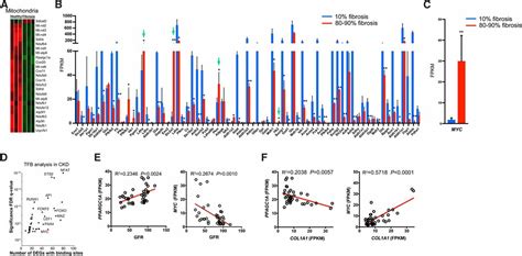 Interleukin 1β Activates A Myc Dependent Metabolic Switch In Journal Of The American