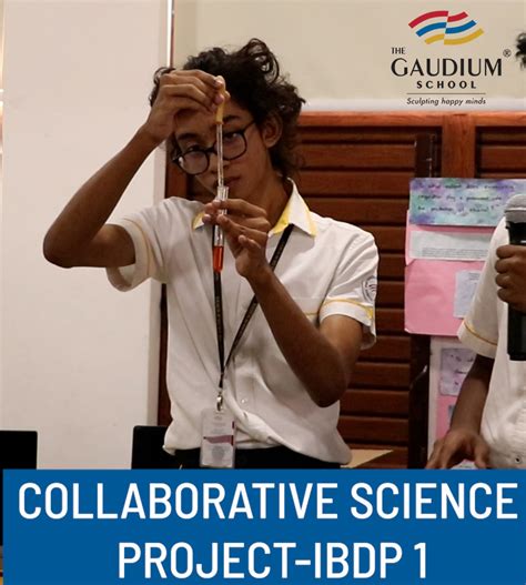 Exploring Sustainable Energy Sources International School In Hyderabad