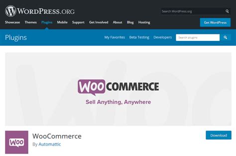 What Are The Most Important Wordpress Plugins Eldernode