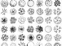 13 Plans Sections Ideas Architecture Drawing Tree Sketches Landscape Design Drawings