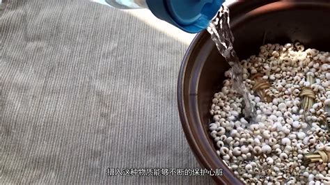 薏米的功效与作用 搜狗百科
