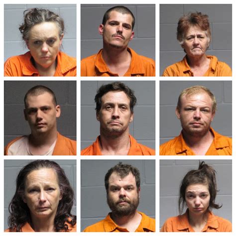 Polk County Mugshots 2024 Fran Paloma