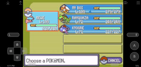 My Updated Team R Pokemonemerald