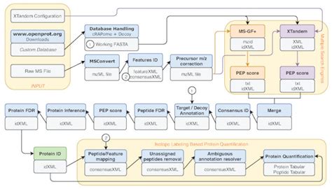 Graphical Representation Of The Galaxy Workflow Used Step By Step