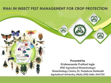 Rna Interference In Insect Pest Management Pdf