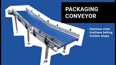 Packaging Conveyor For A Food Manufacturer Showcase Stainless Steel