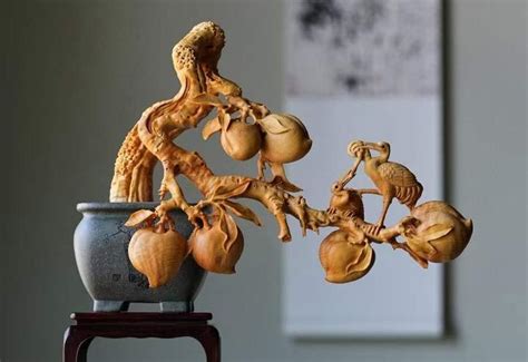 关于黄杨木，你了解多少呢？ 知乎