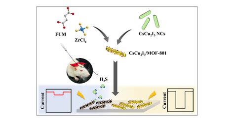 Photoelectrochemical Sensor For H S Based On A Lead Free Perovskite MetalOrganic Framework